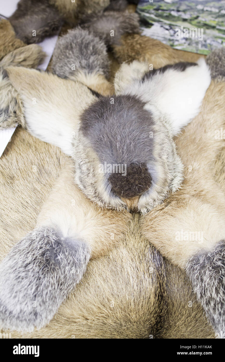 Beaver fur hat hi-res stock photography and images - Alamy