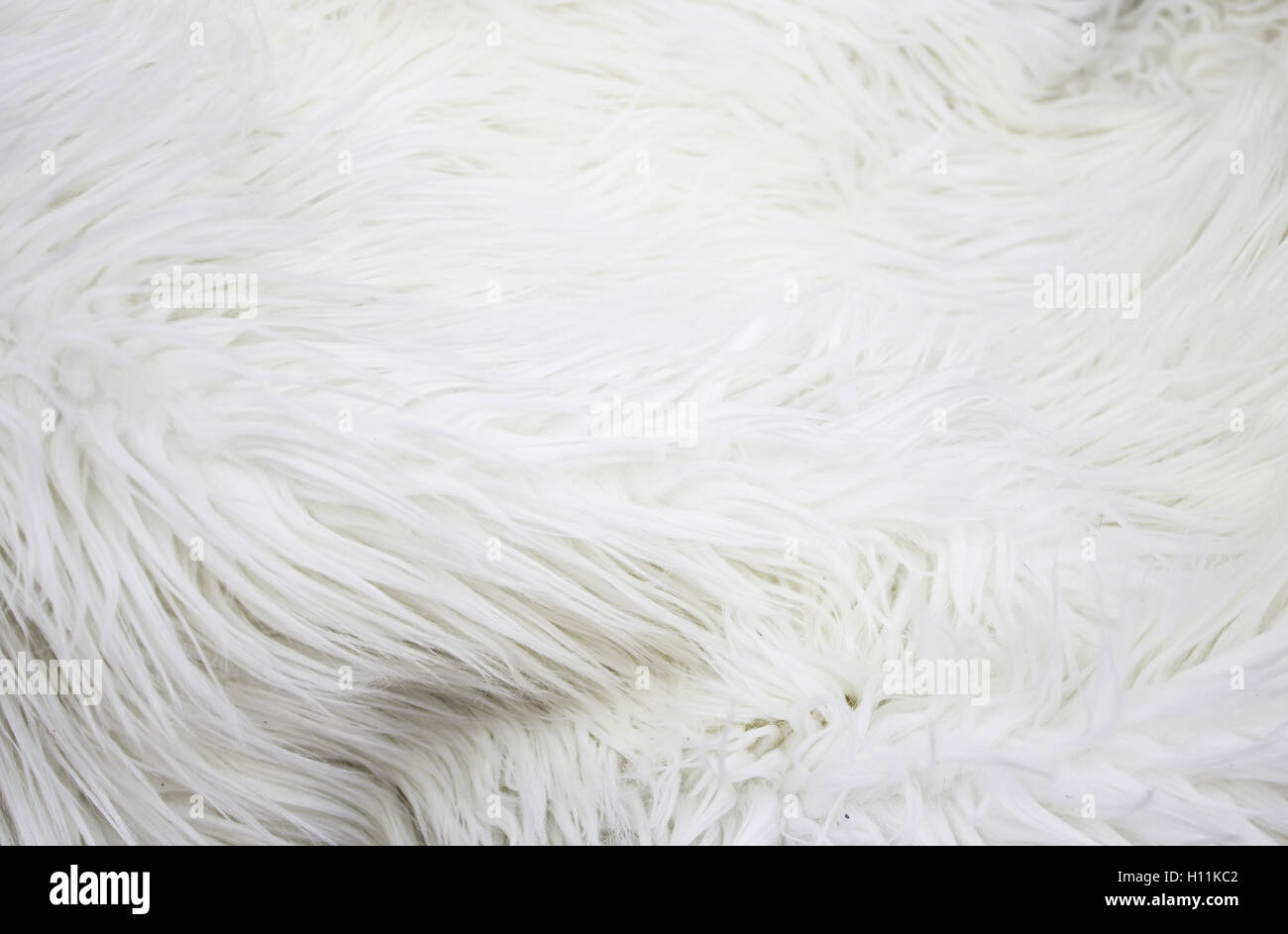 Light and fluffy wool, nature and animals Stock Photo - Alamy