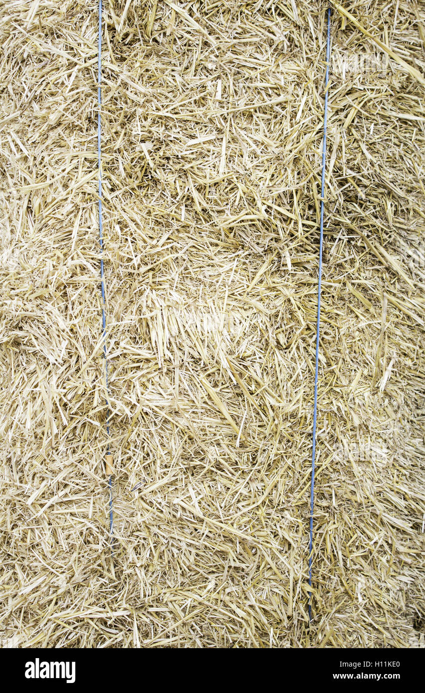 Farm stacked straw, nature and agriculture Stock Photo - Alamy