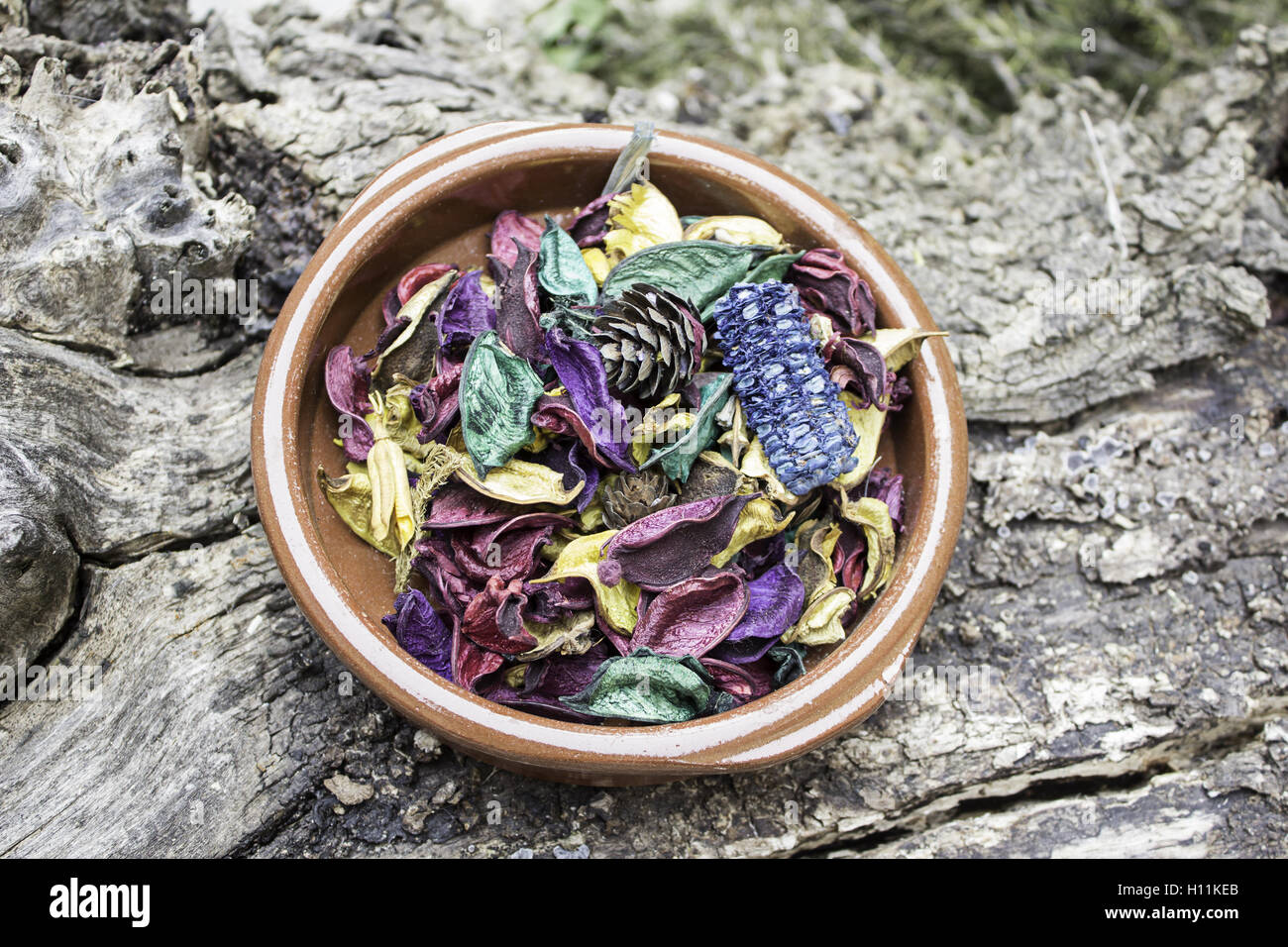 Dry plate hi-res stock photography and images - Alamy