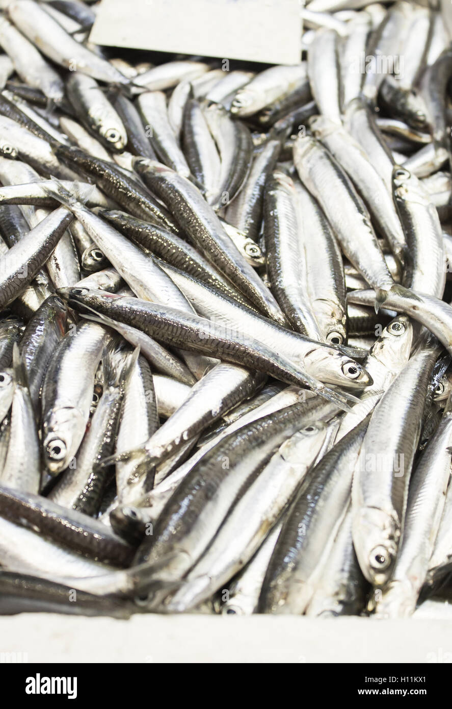 Fresh sardines in fish, trade and sale Stock Photo - Alamy