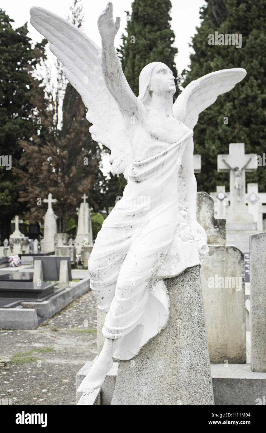 Angel on cemetery over grave, religion and symbol Stock Photo - Alamy