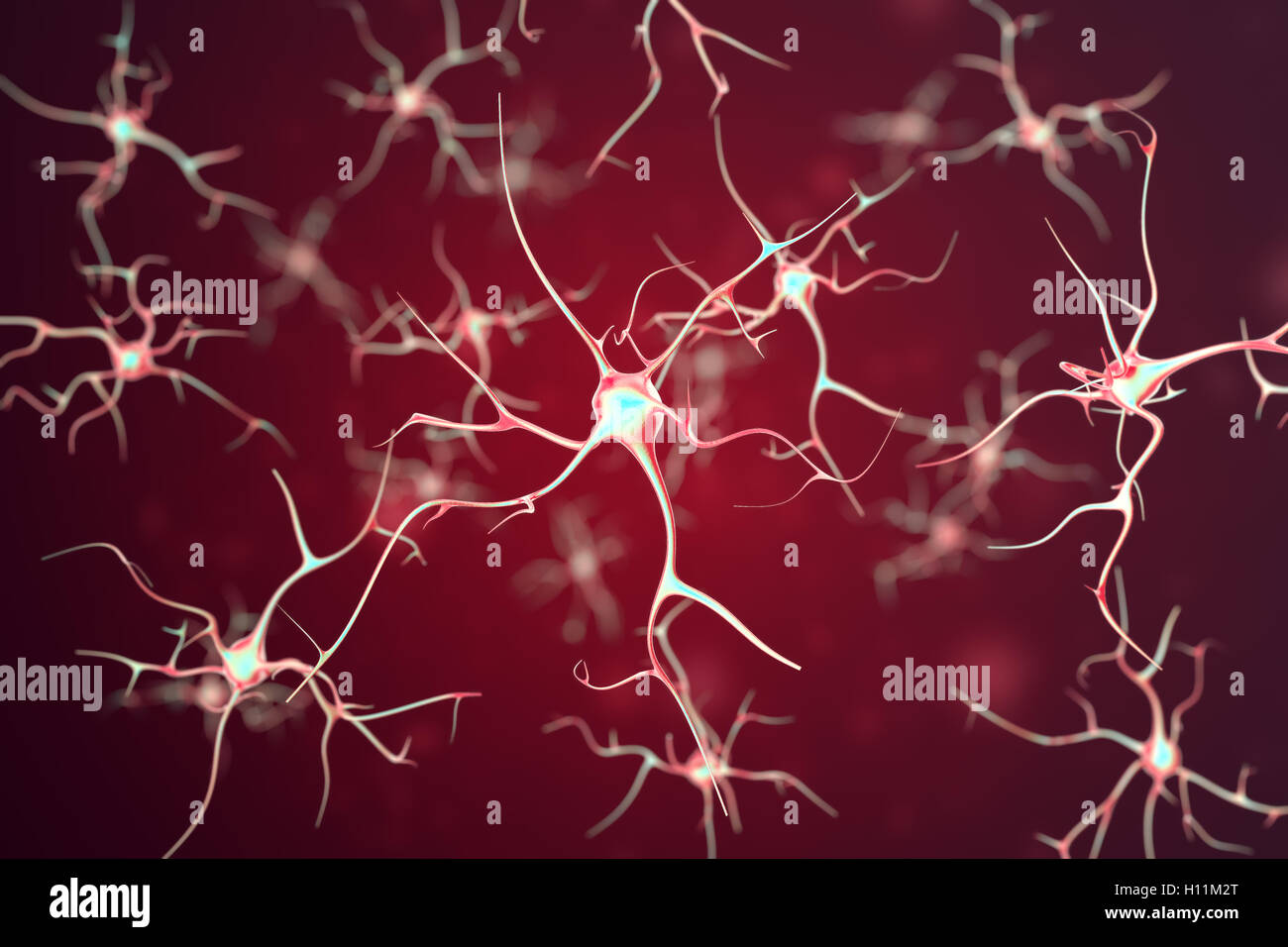 Neurons in the human nervous system on red background with the effect ...