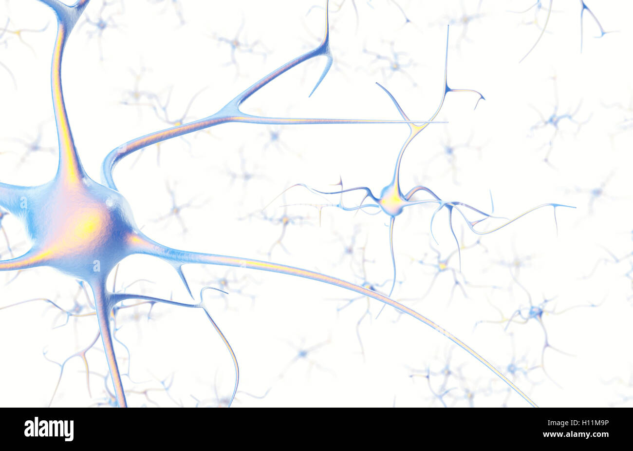 Neurons in the brain on white background with focus effect. 3d ...