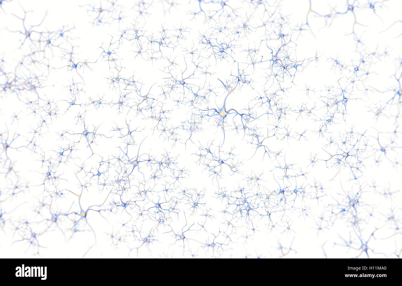 Neurons in the brain on white background with focus effect. 3d ...