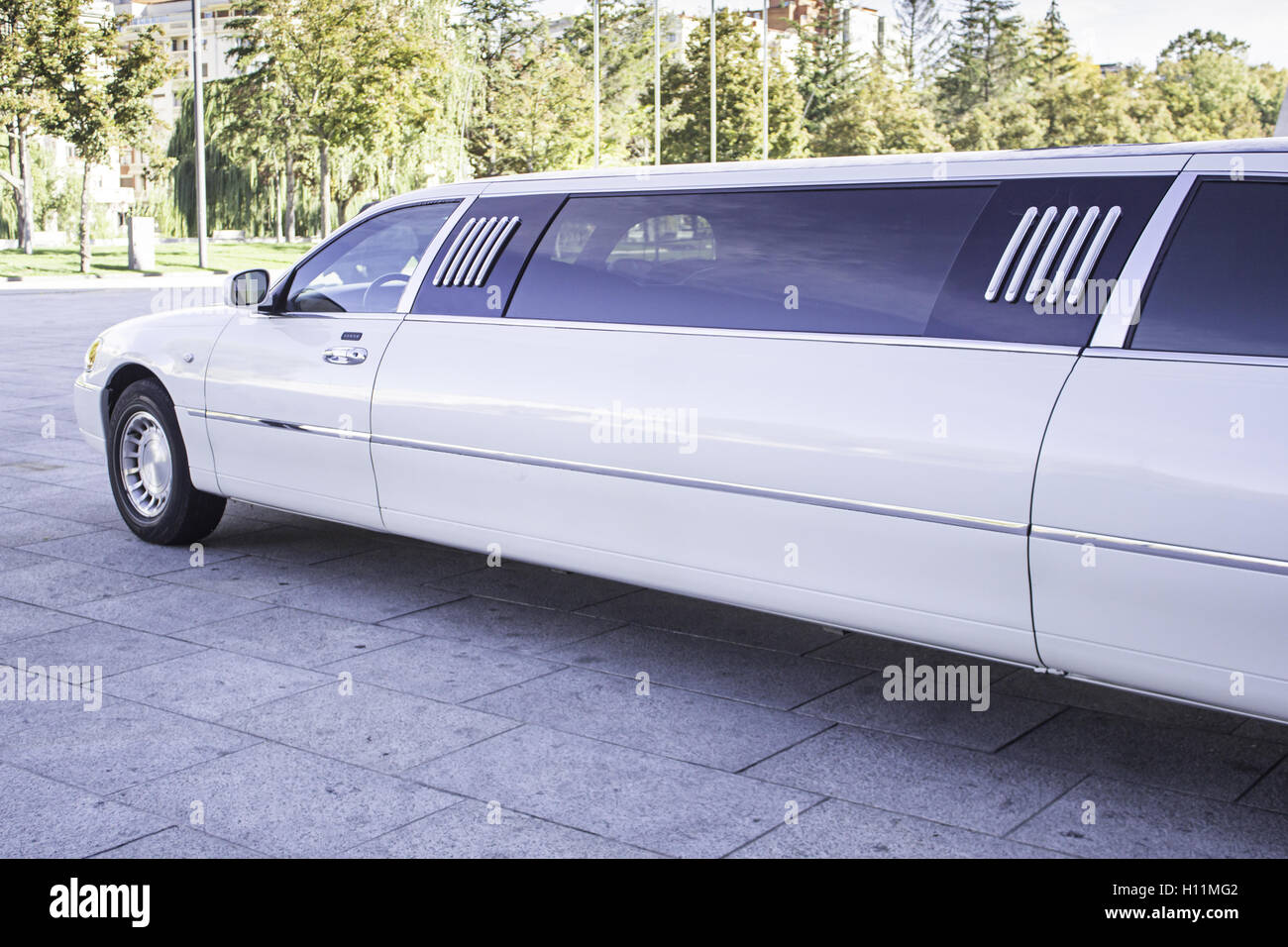 Lamborghini Limo Blue