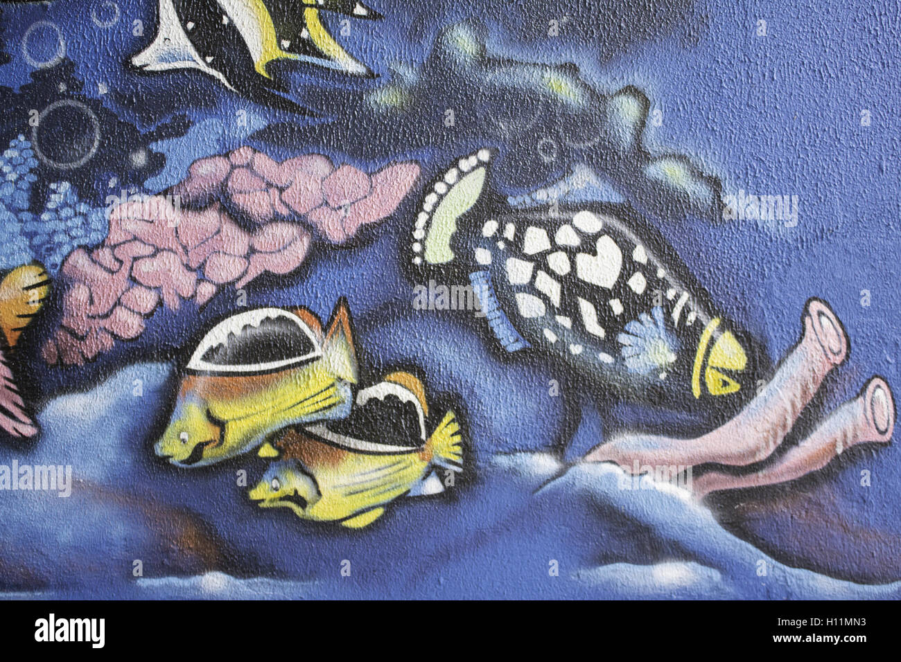 Graffiti fish in river Stock Photo - Alamy