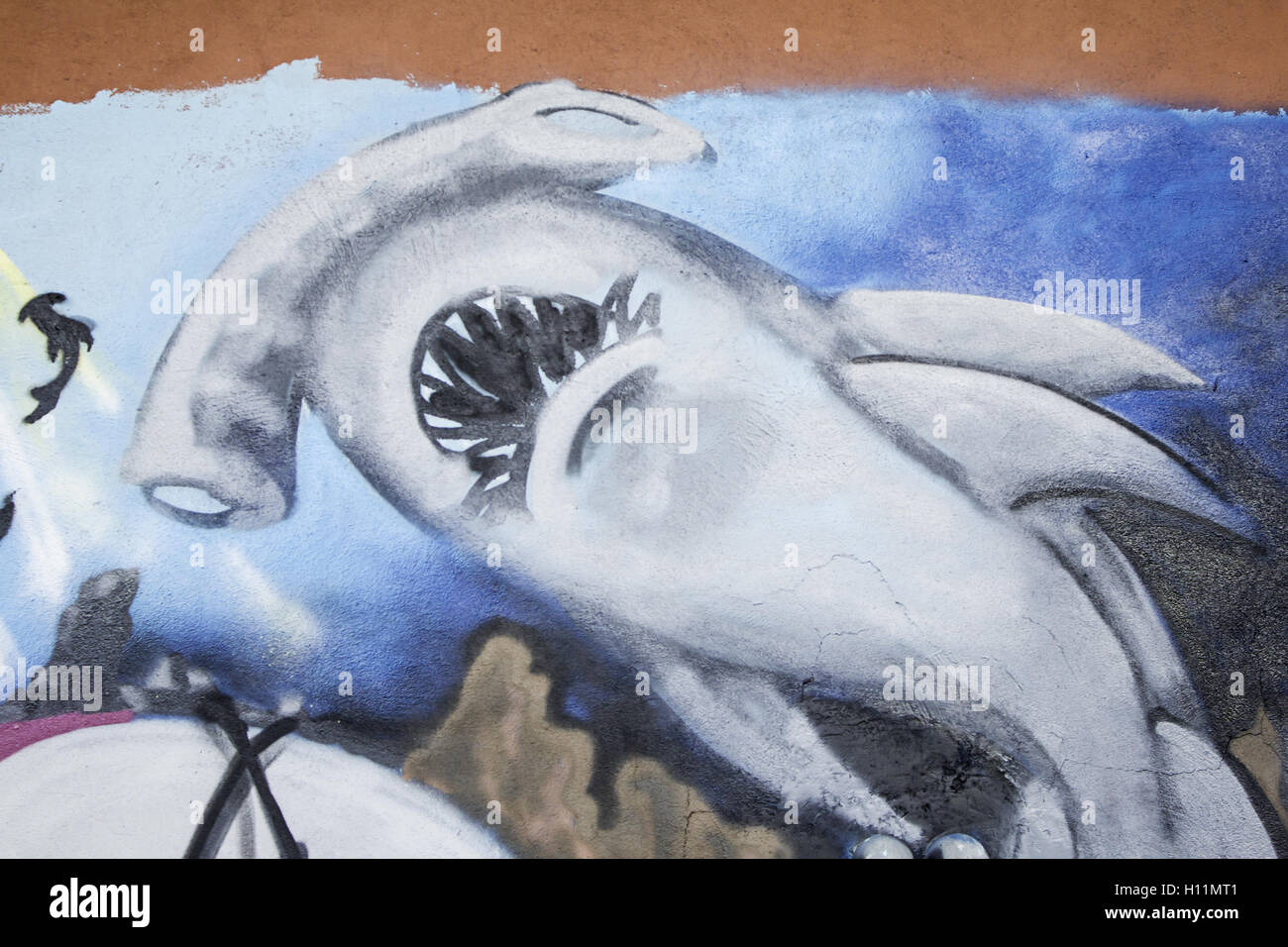 Great white shark mouth open hi-res stock photography and images - Alamy