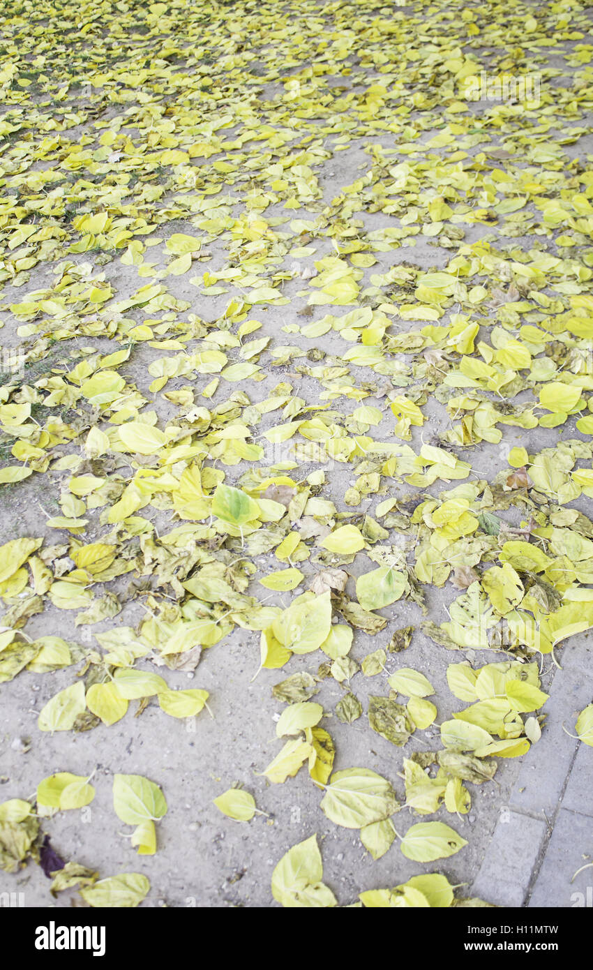 Soil blowing hi-res stock photography and images - Alamy