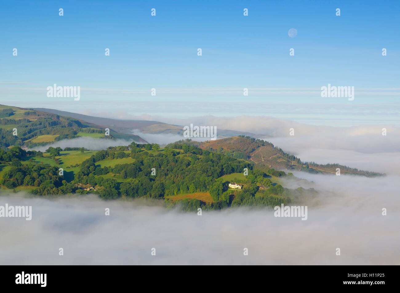 Misty valley Llangollen Wales Stock Photo - Alamy