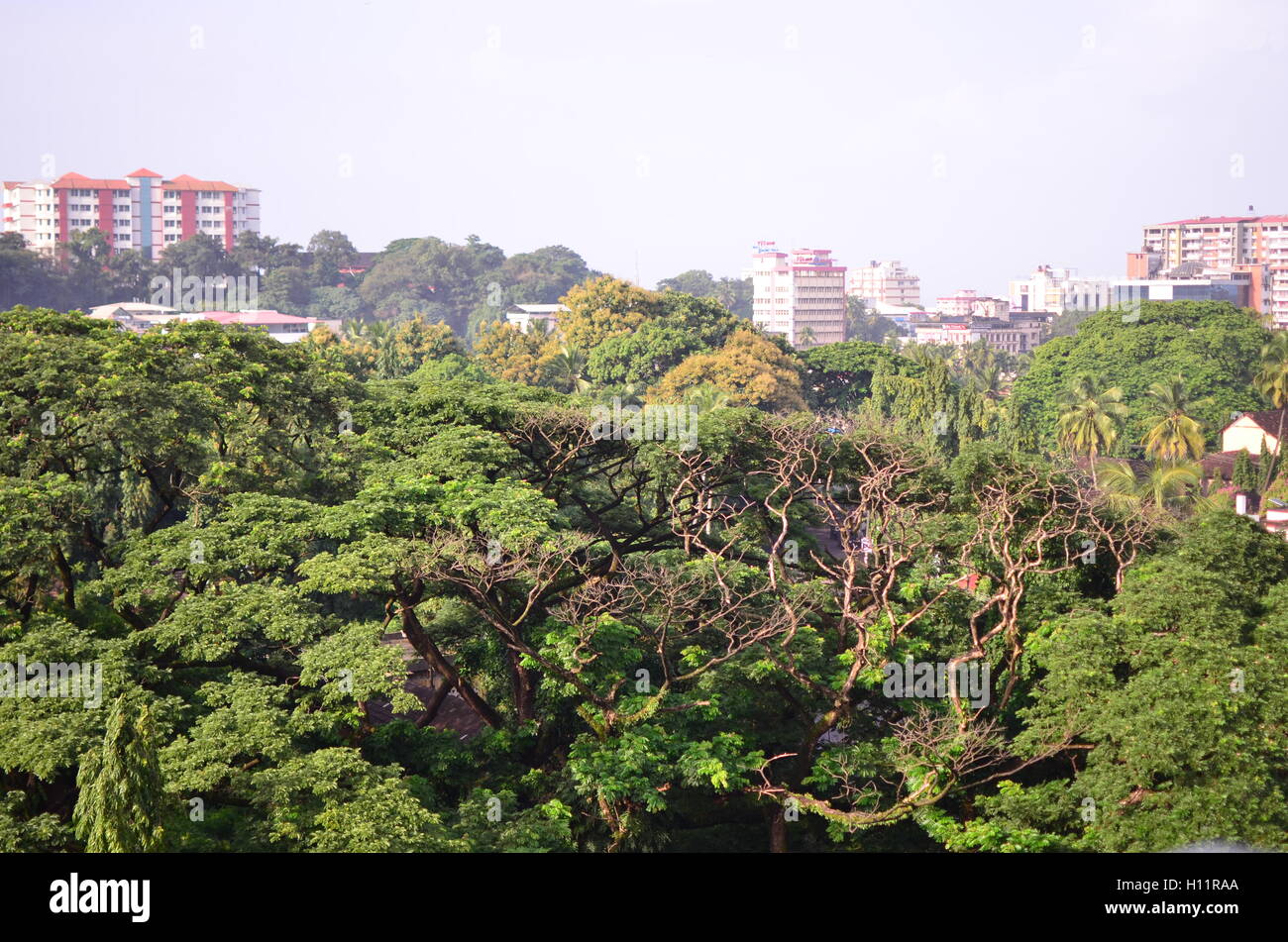 Beautiful coastal green city of Mangalore, in Karnataka State, India ...