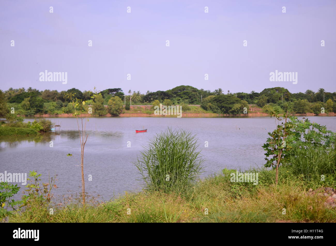 Scenic beauty of a small lagoon on the banks of Netravati River near ...