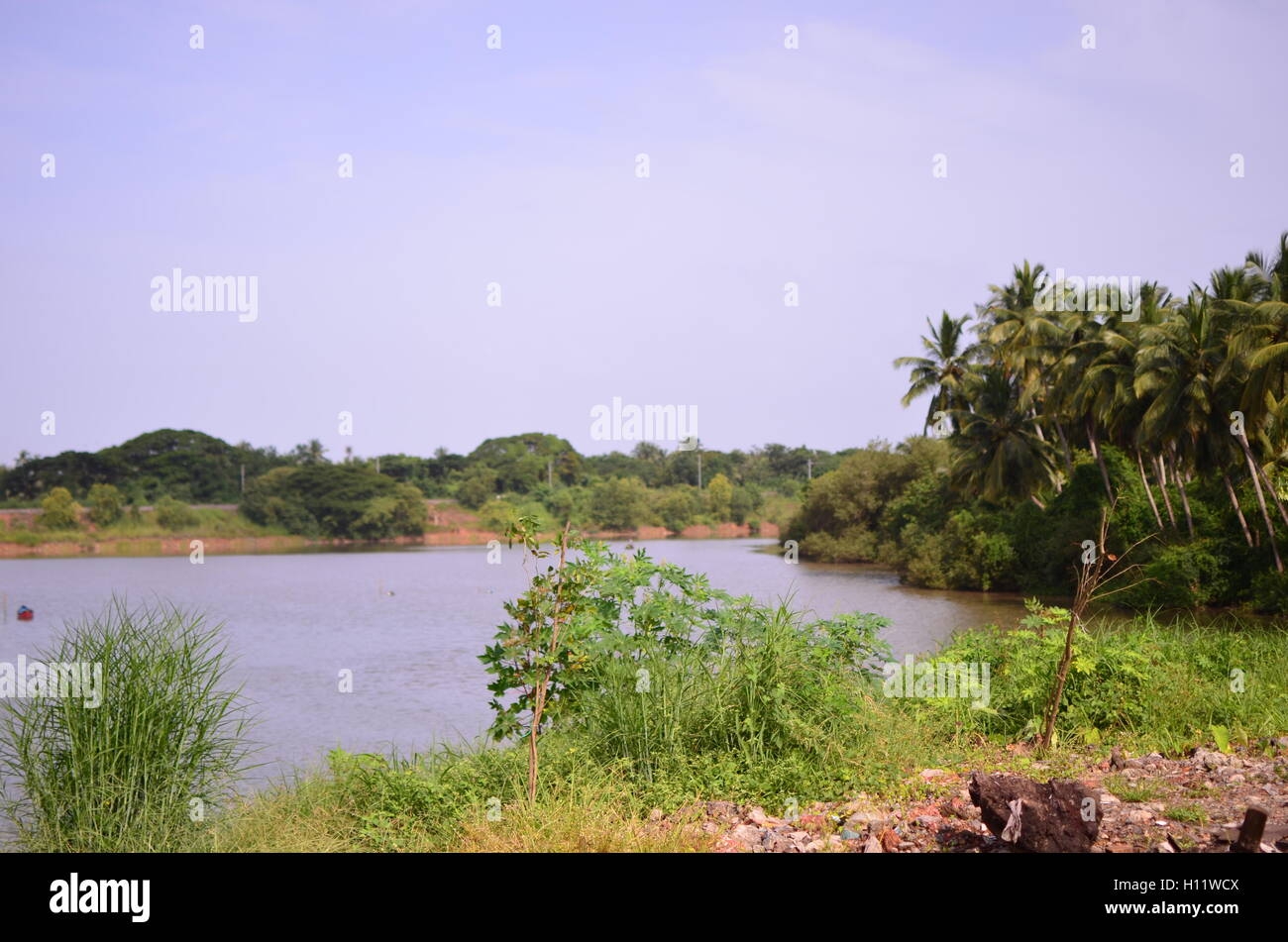 Netravati river hi-res stock photography and images - Alamy