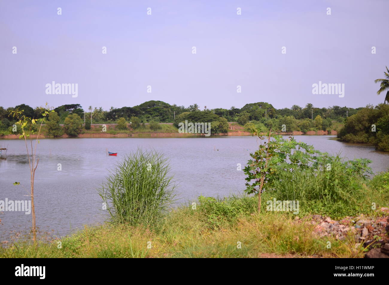 Netravati river hi-res stock photography and images - Alamy