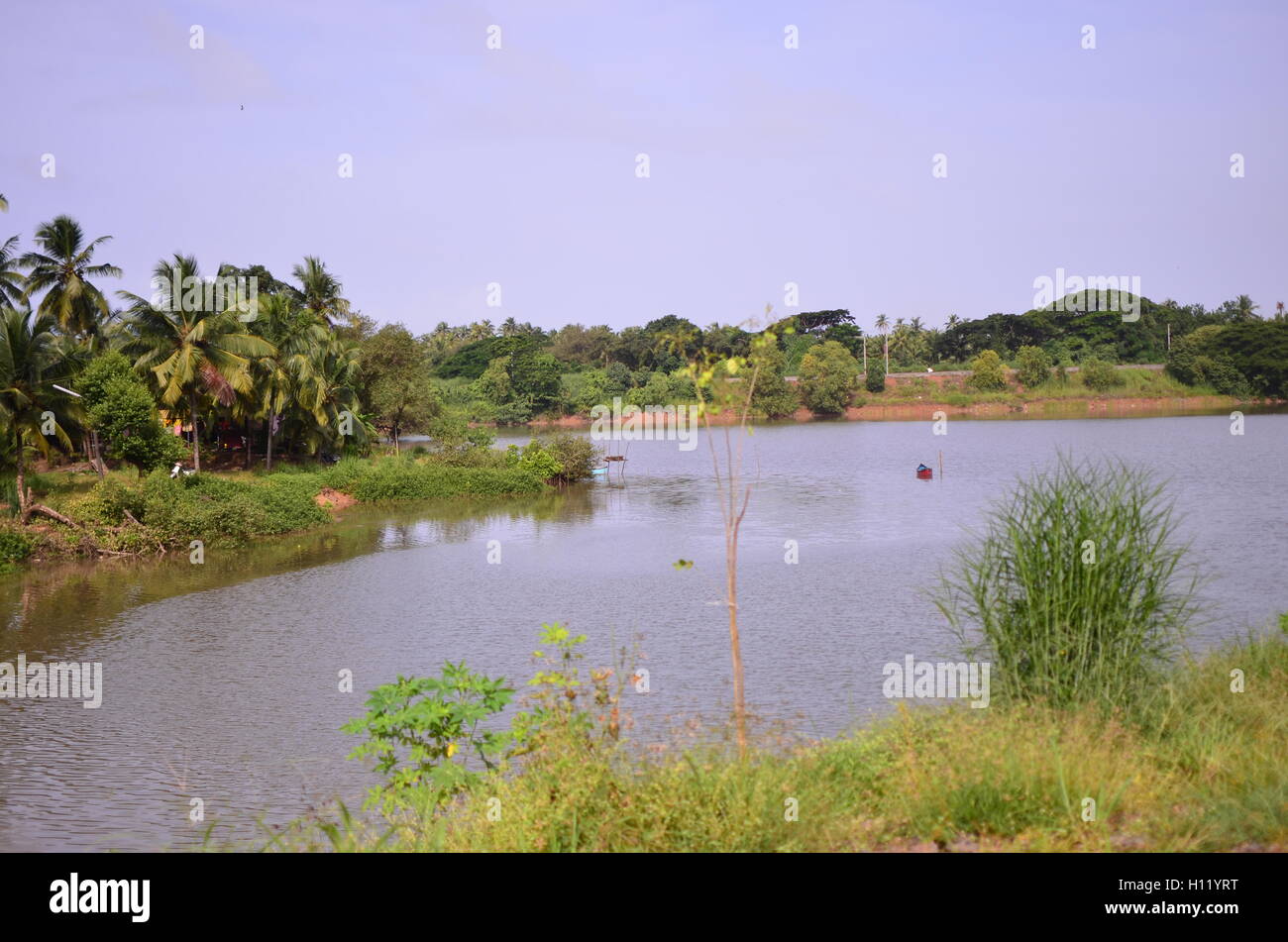 Scenic beauty of a small lagoon on the banks of Netravati River near ...