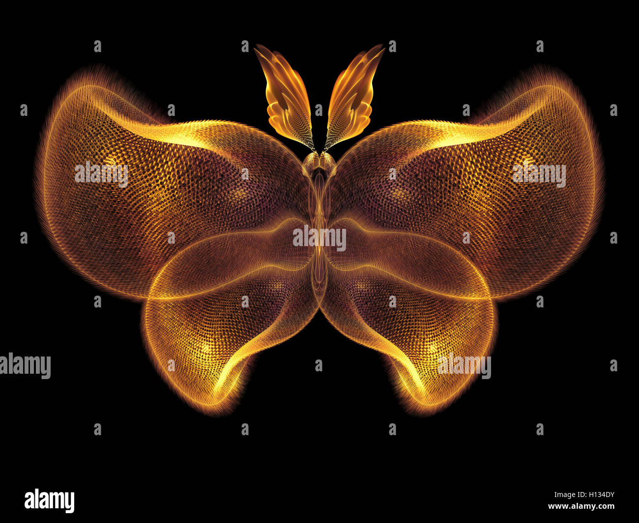 Magic of Butterfly Stock Photo - Alamy