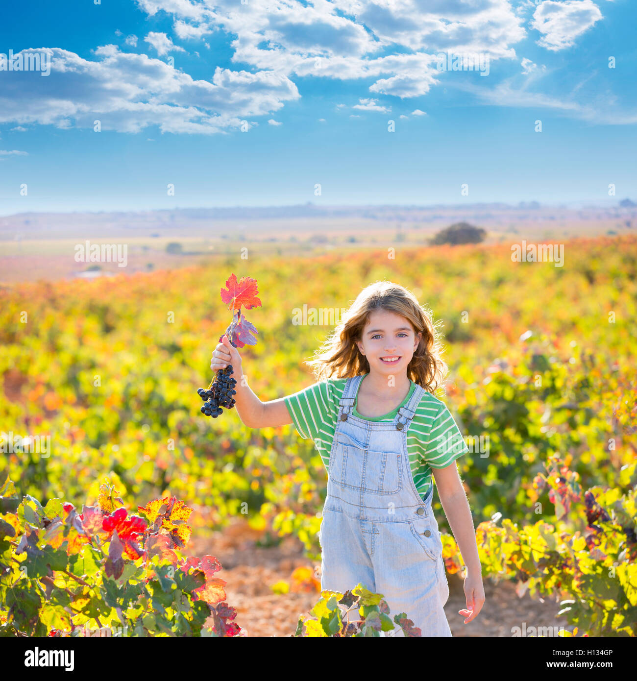 Vineyard spain children hi-res stock photography and images - Alamy