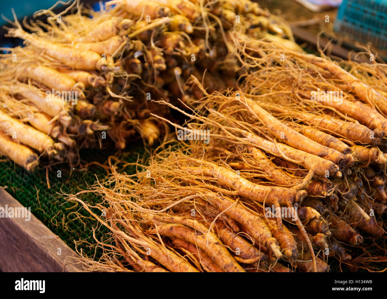 Ginseng root stick Stock Photo - Alamy