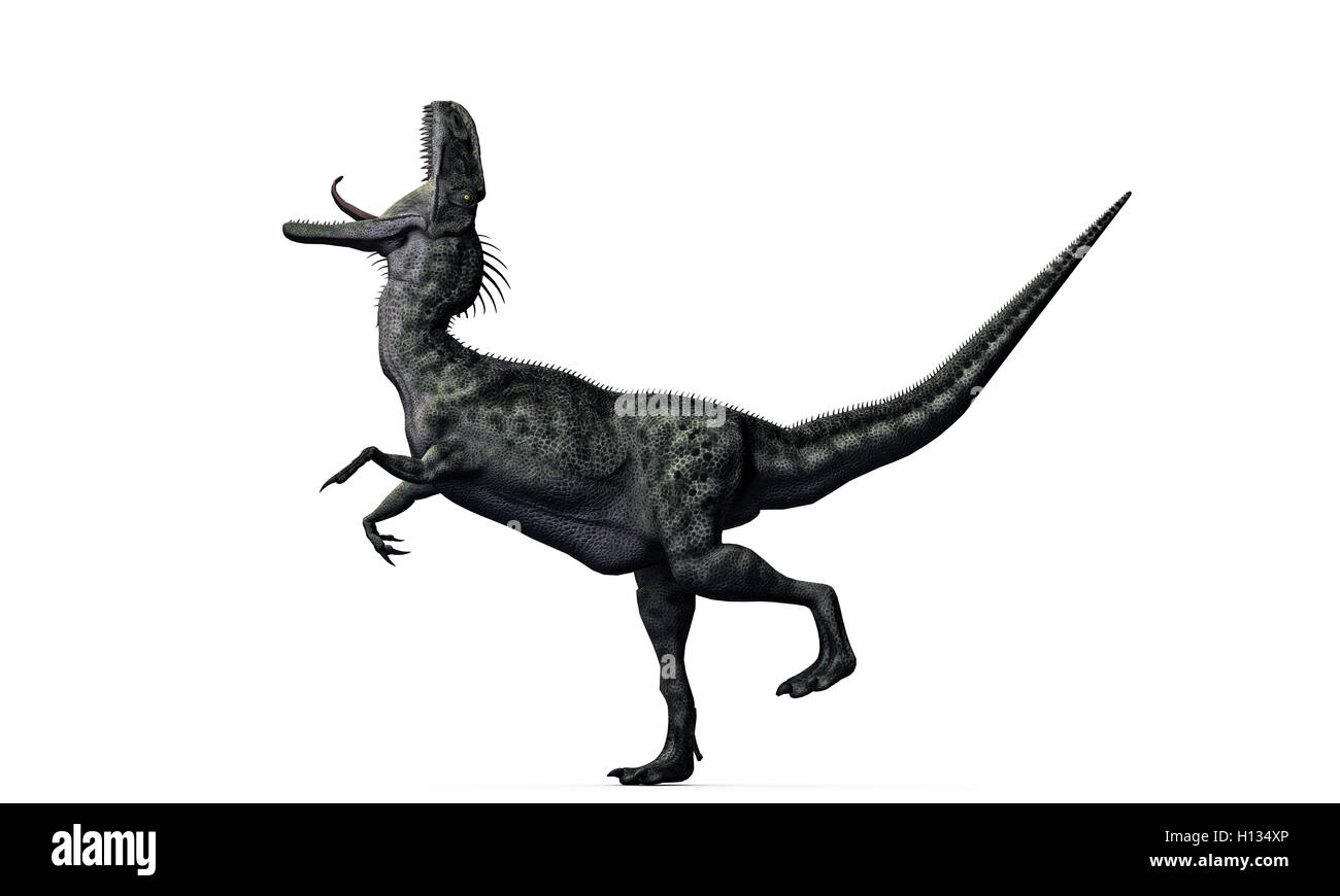 Monolophosaurus dinosaur hi-res stock photography and images - Alamy