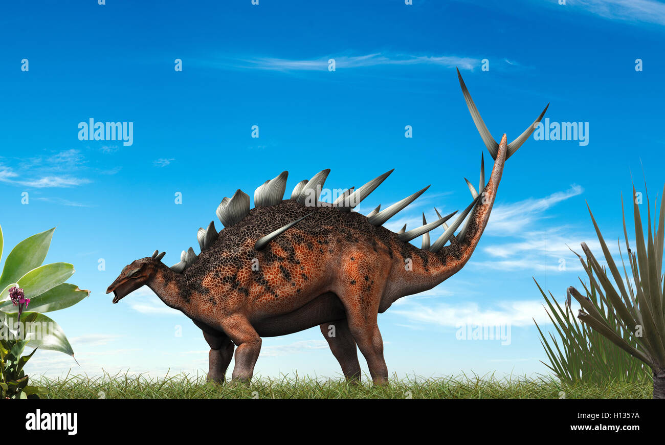 Kentrosaurus hi-res stock photography and images - Alamy