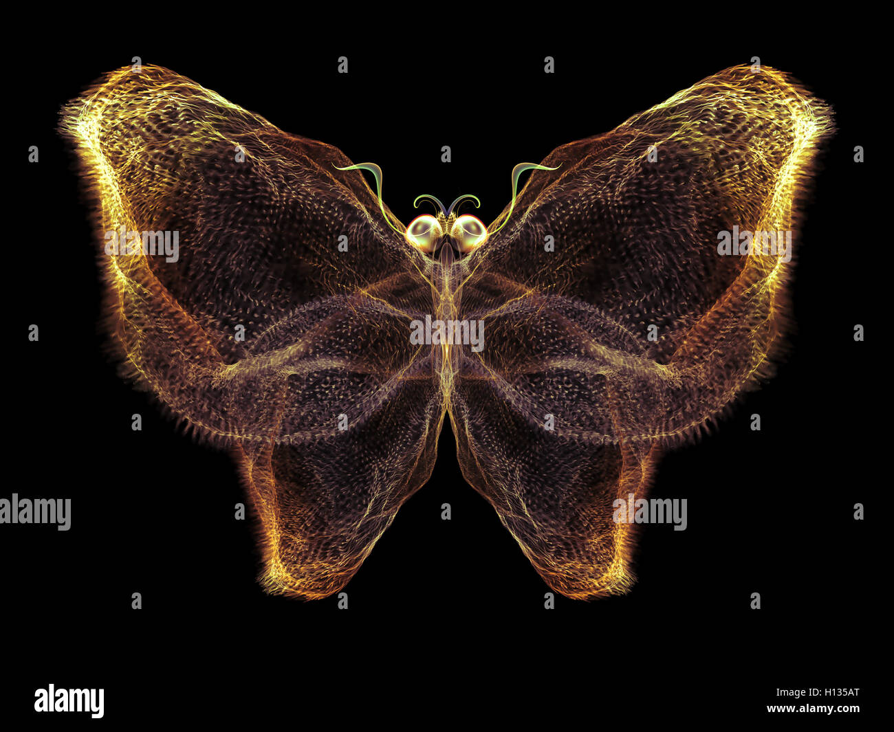 Magic of Butterfly Stock Photo - Alamy