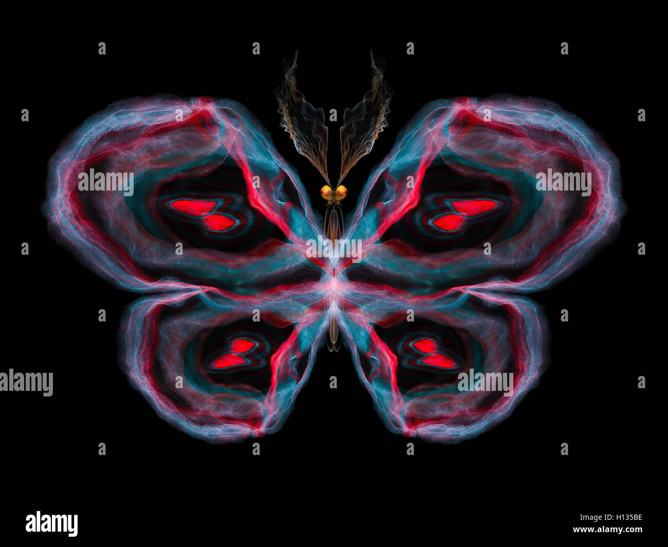 Magic of Butterfly Stock Photo - Alamy