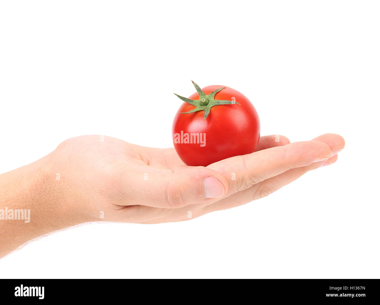 Hand fresh cherry tomato Cut Out Stock Images & Pictures - Alamy