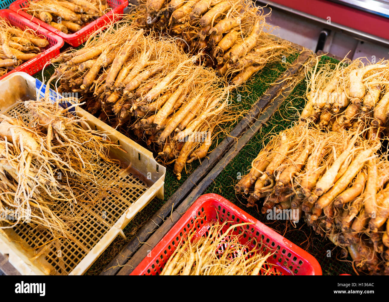 Ginseng root stick Stock Photo - Alamy