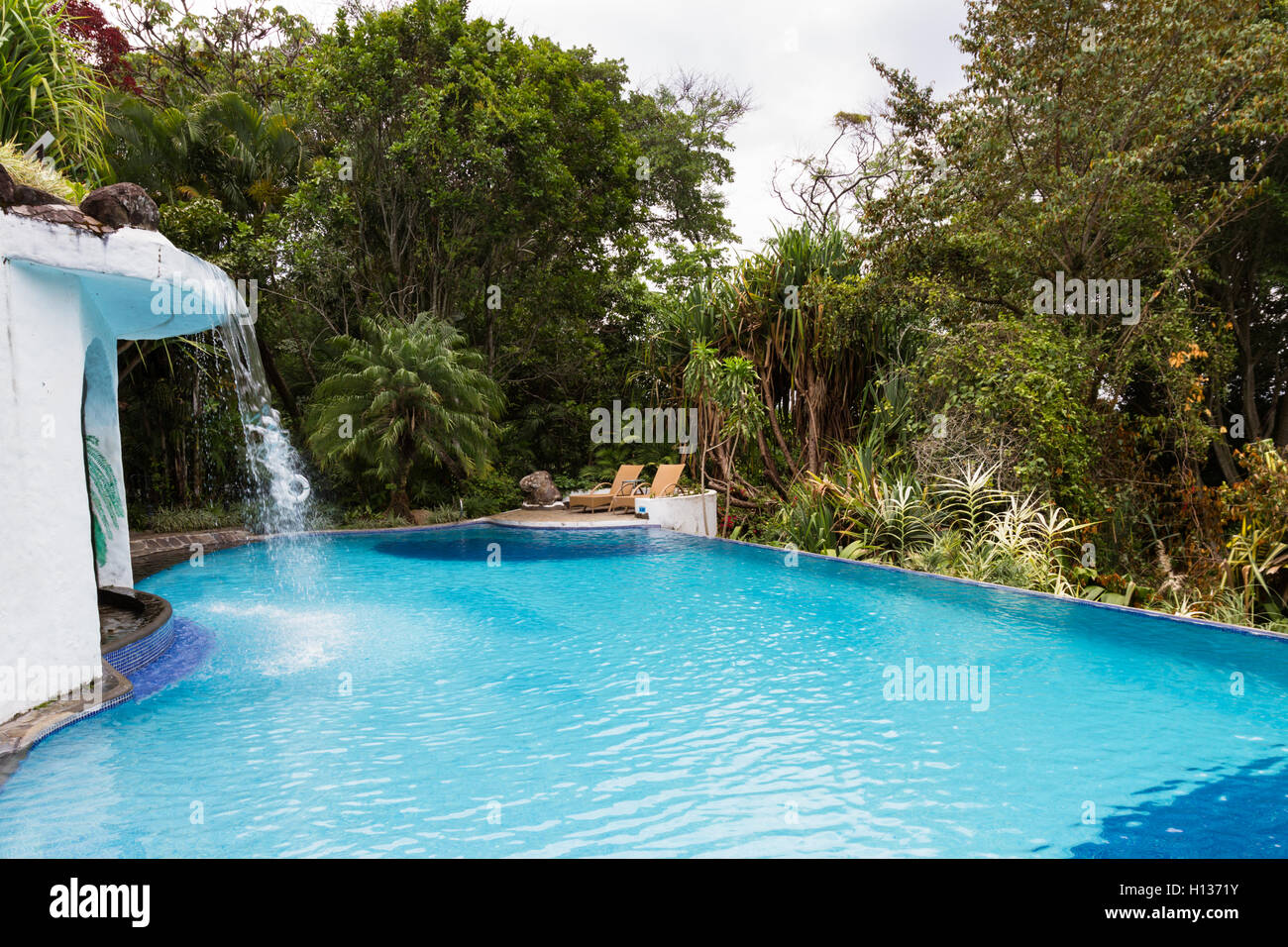 relaxing swimming pool with a waterfall in a tropical rain forest Stock ...