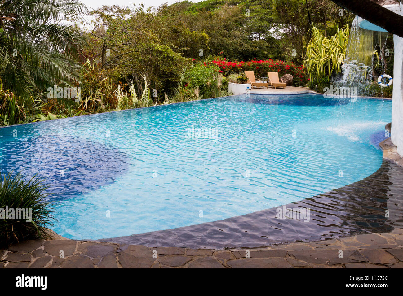 relaxing swimming pool with a waterfall in a tropical rain forest Stock ...