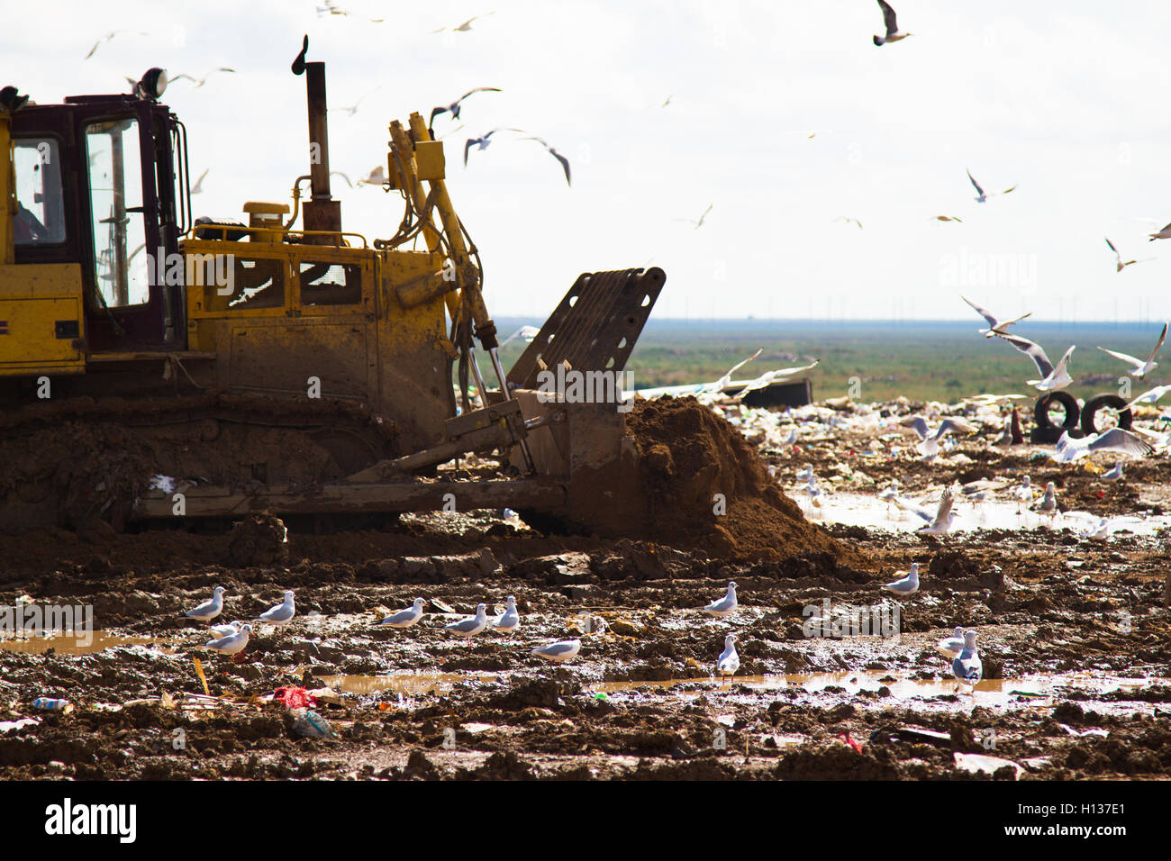 Landfill rubbish bulldozers processing garbage Stock Photo - Alamy