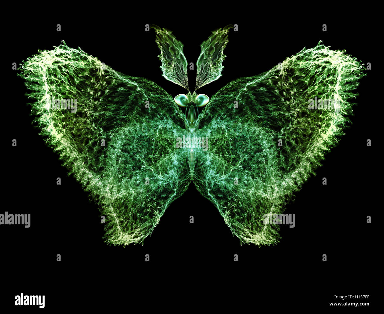 Design butterfly hi-res stock photography and images - Alamy
