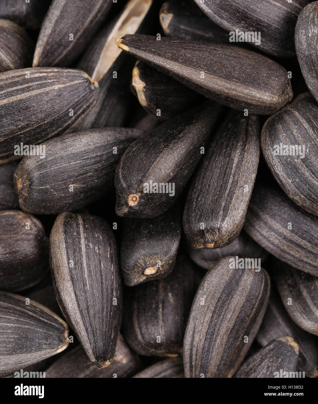 Background of sunflower seeds Stock Photo - Alamy