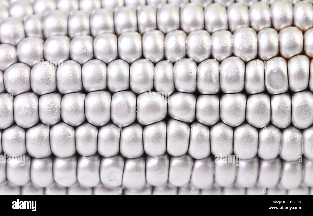 Background of silver indian corn Stock Photo - Alamy