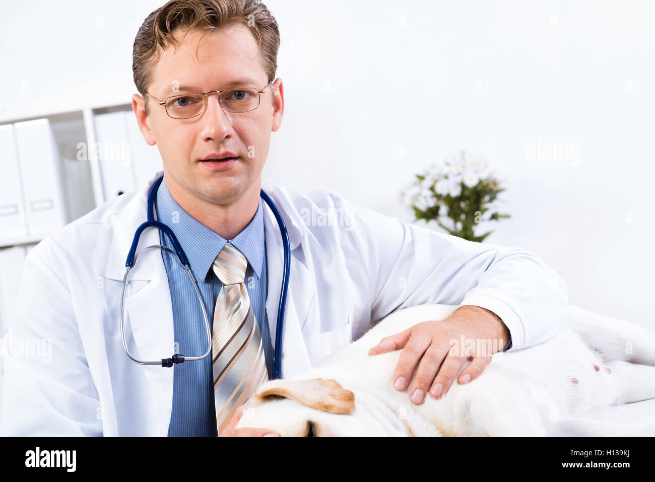 Portrait of male vet Stock Photo - Alamy