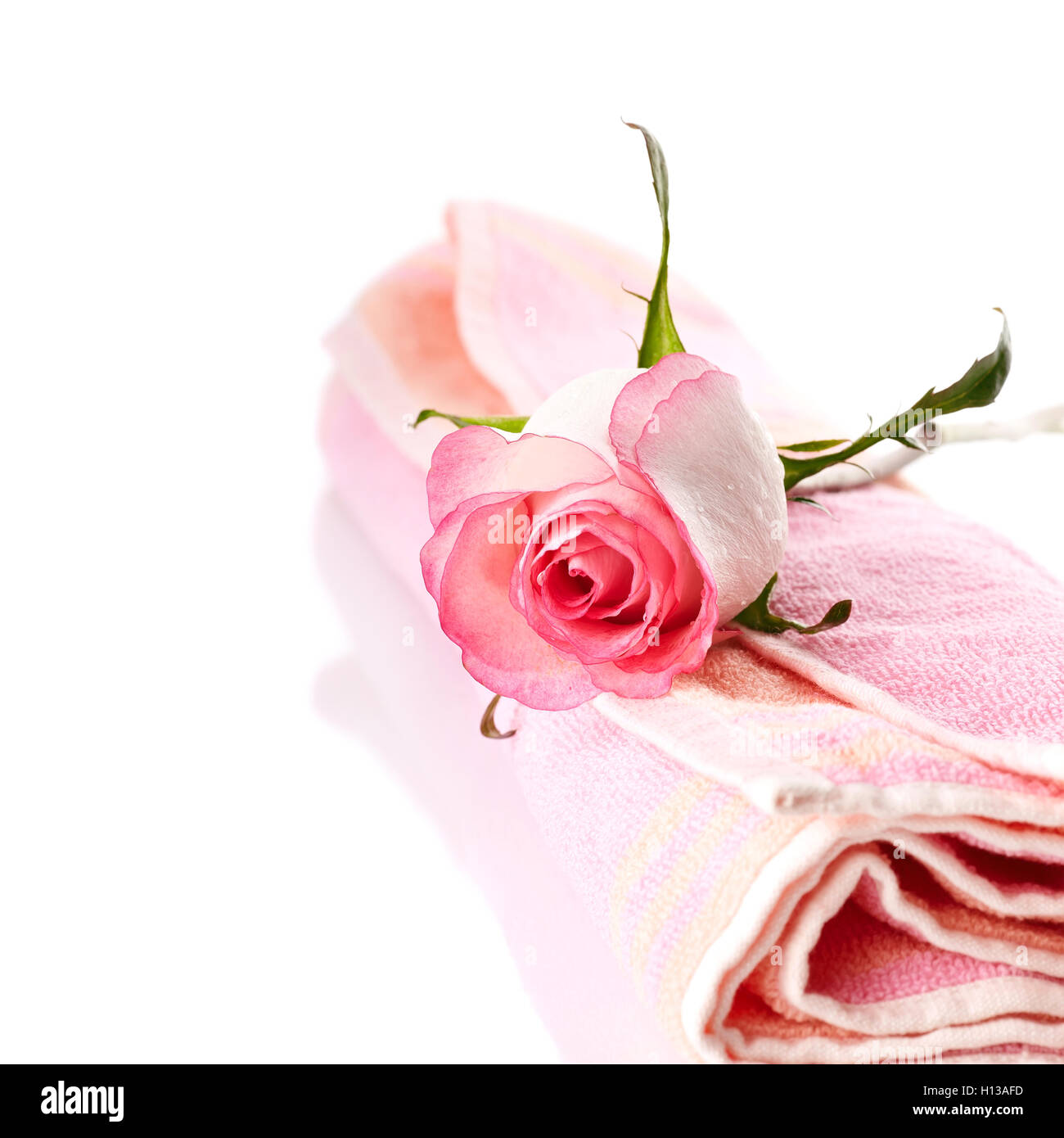 Washing rose hi-res stock photography and images - Alamy