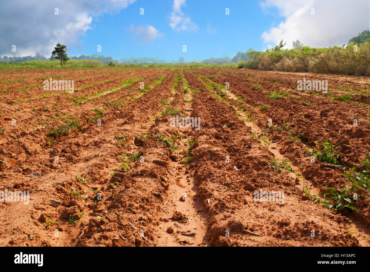 Agricultural field soil Stock Photo - Alamy