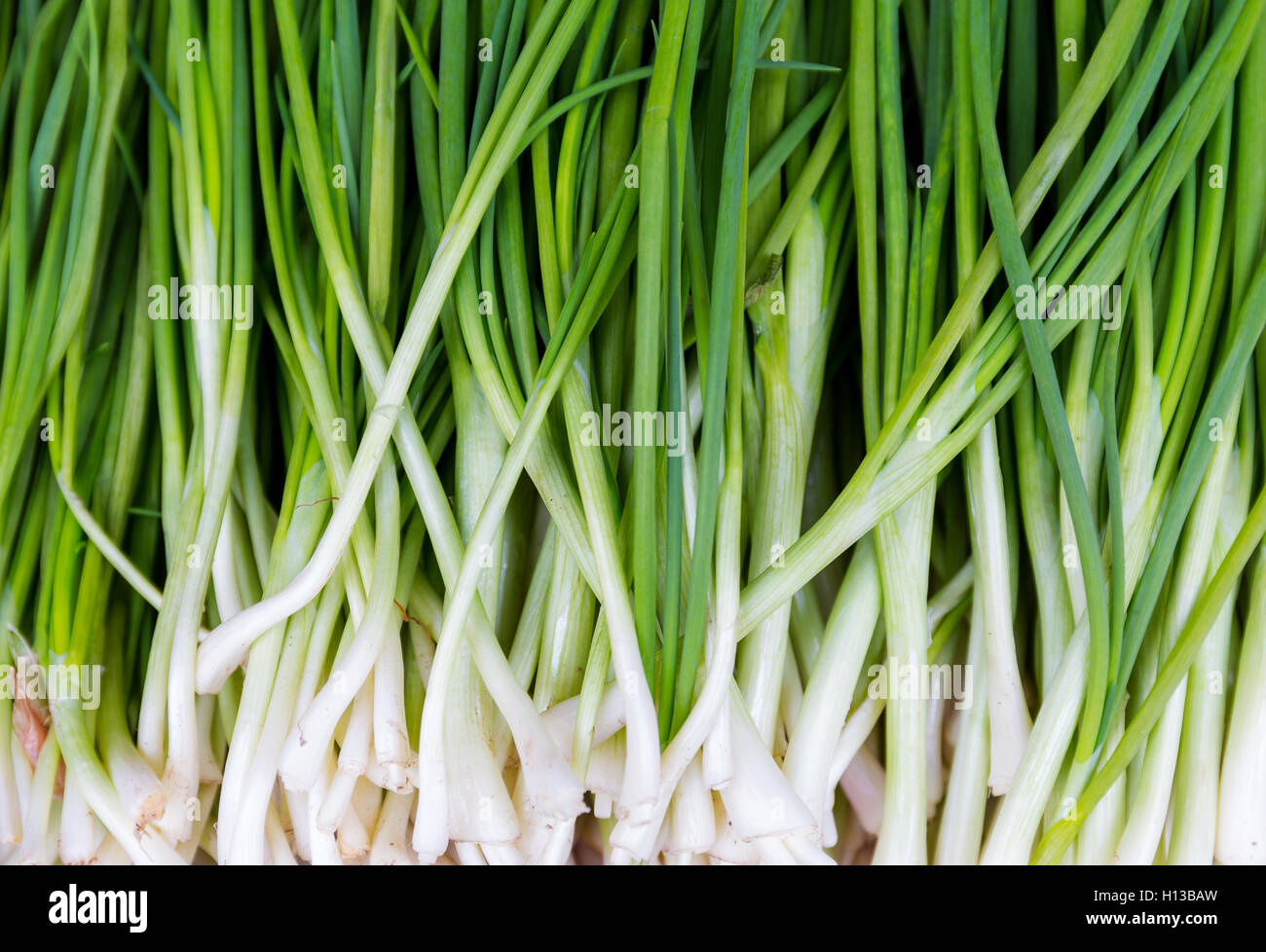 Texture background of fresh scallion Stock Photo - Alamy