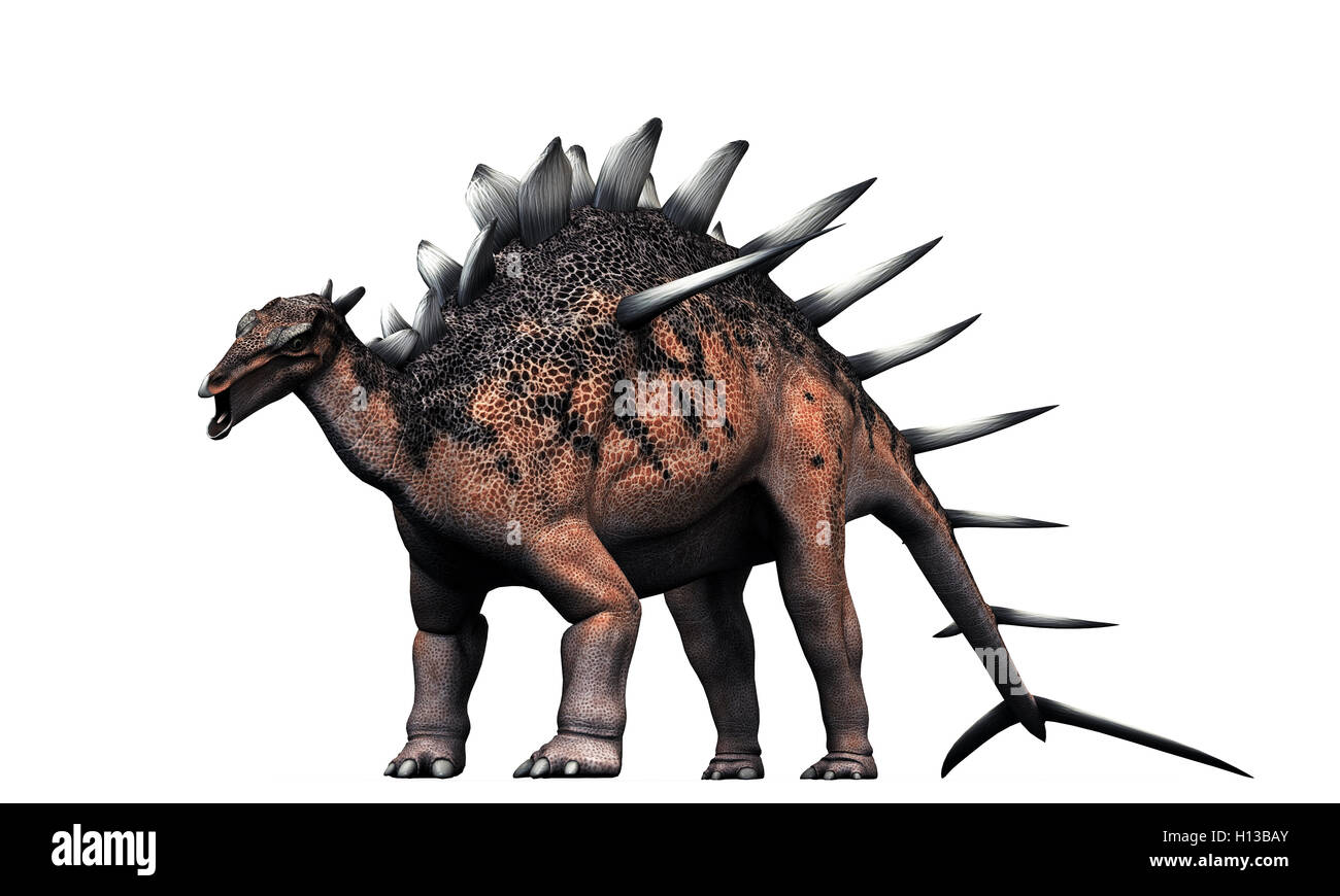 Kentrosaurus hi-res stock photography and images - Alamy