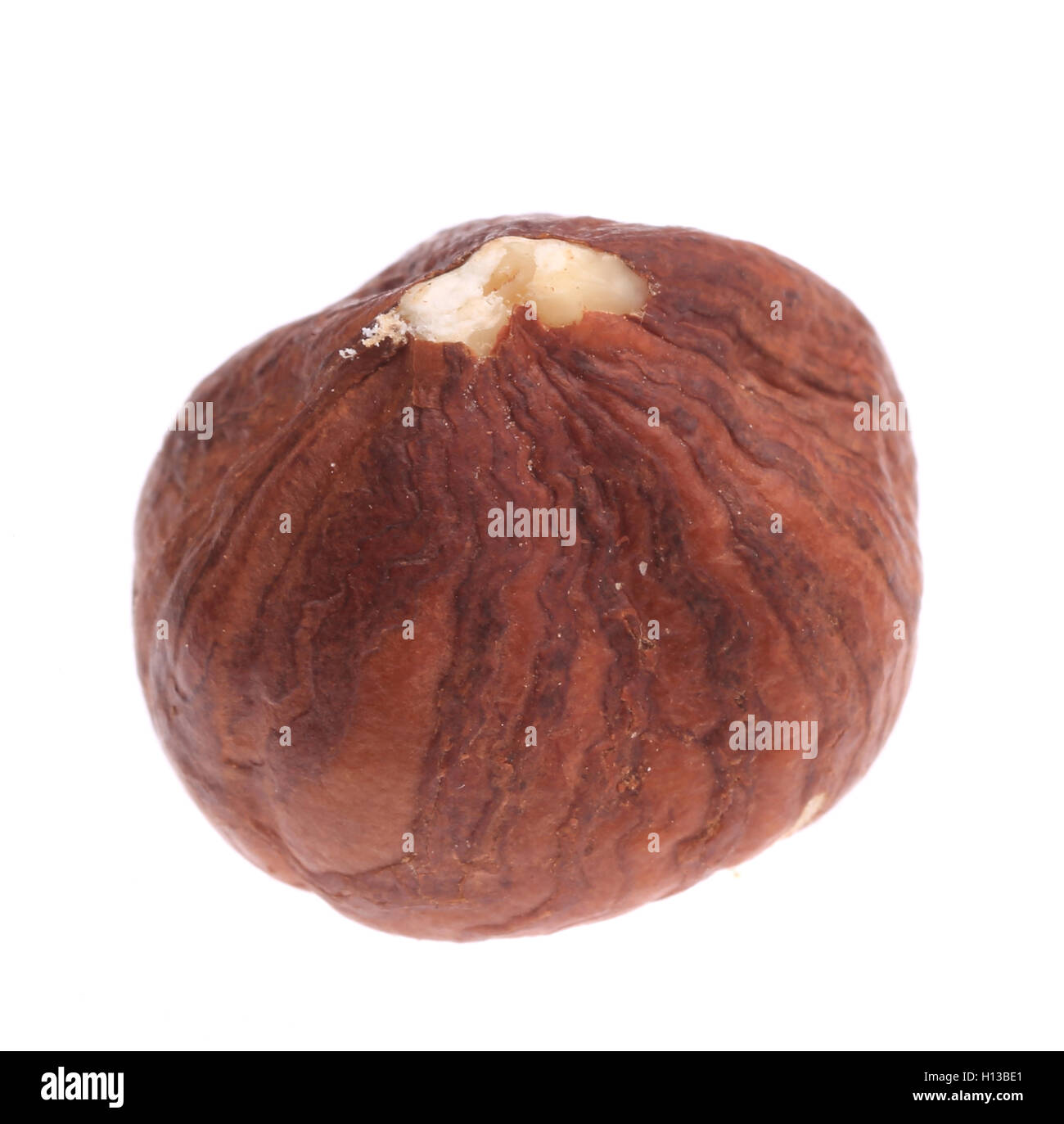 Close up of whole filbert nut Stock Photo - Alamy