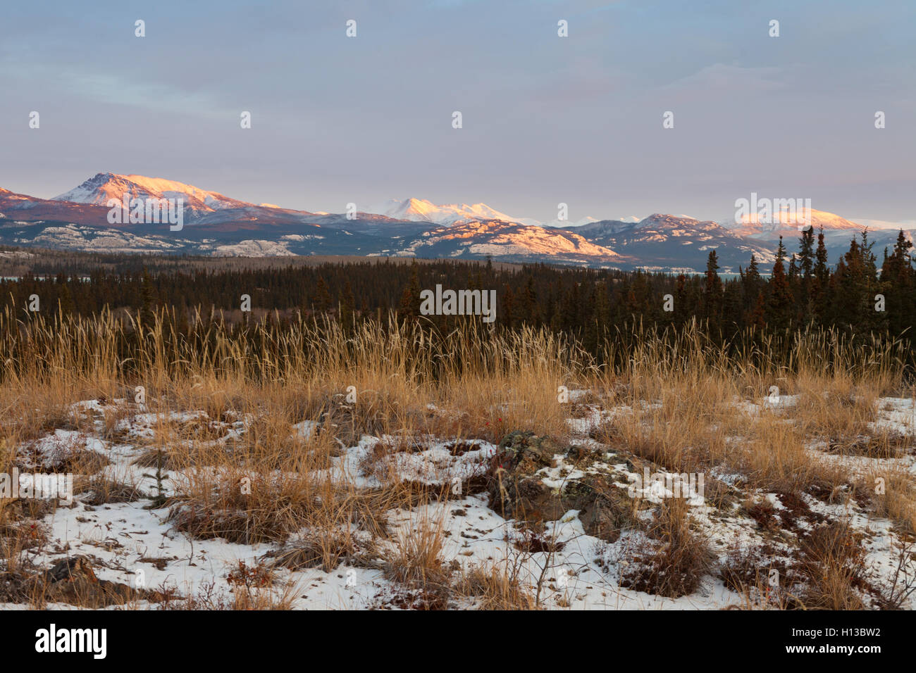 Winter wilderness landscape Yukon Territory Canada Stock Photo - Alamy
