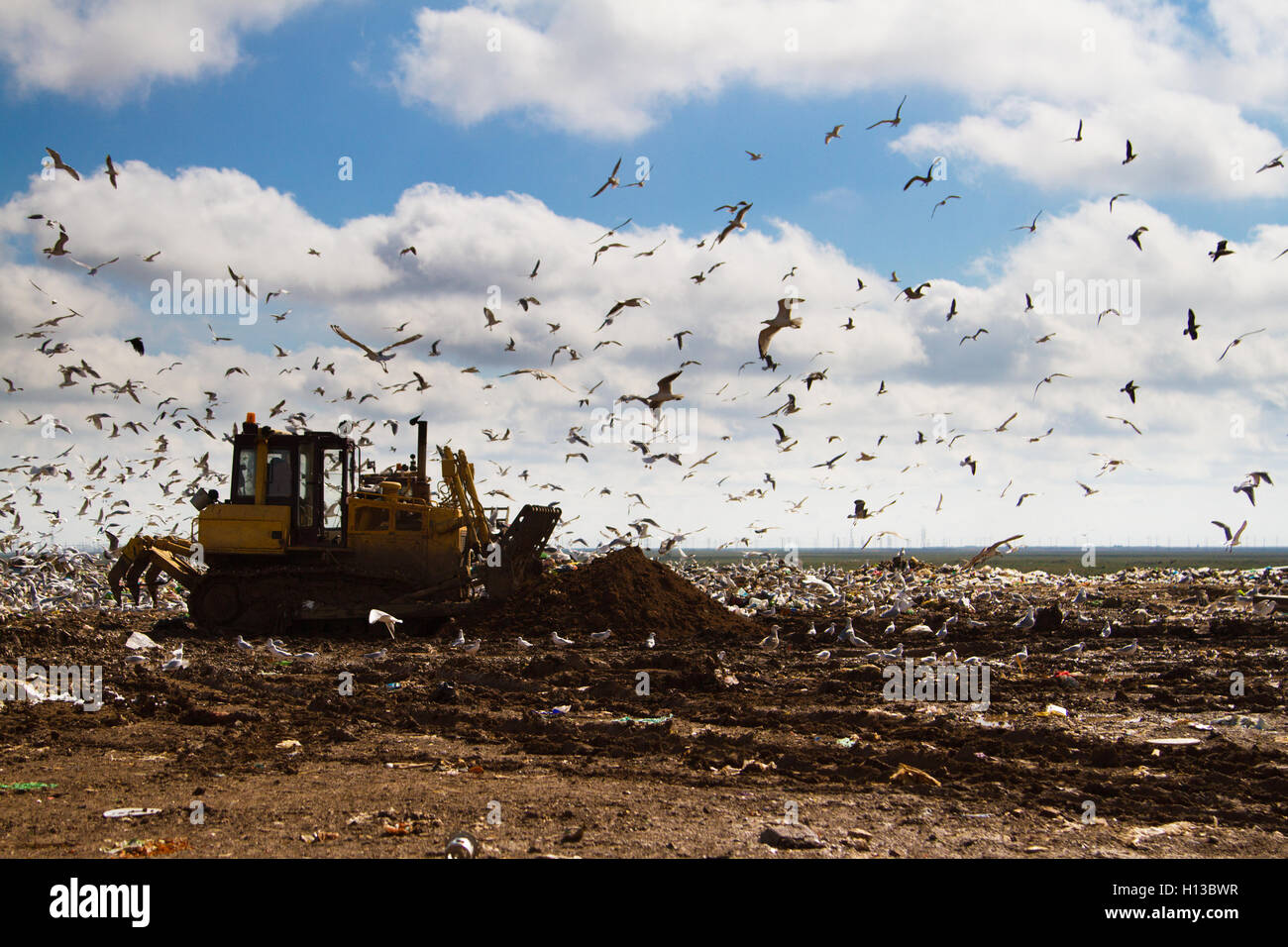 Landfill rubbish bulldozers processing garbage Stock Photo - Alamy