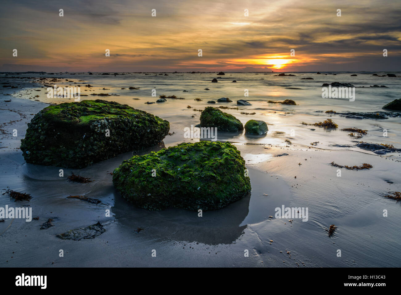 The green moss sunset Stock Photo - Alamy