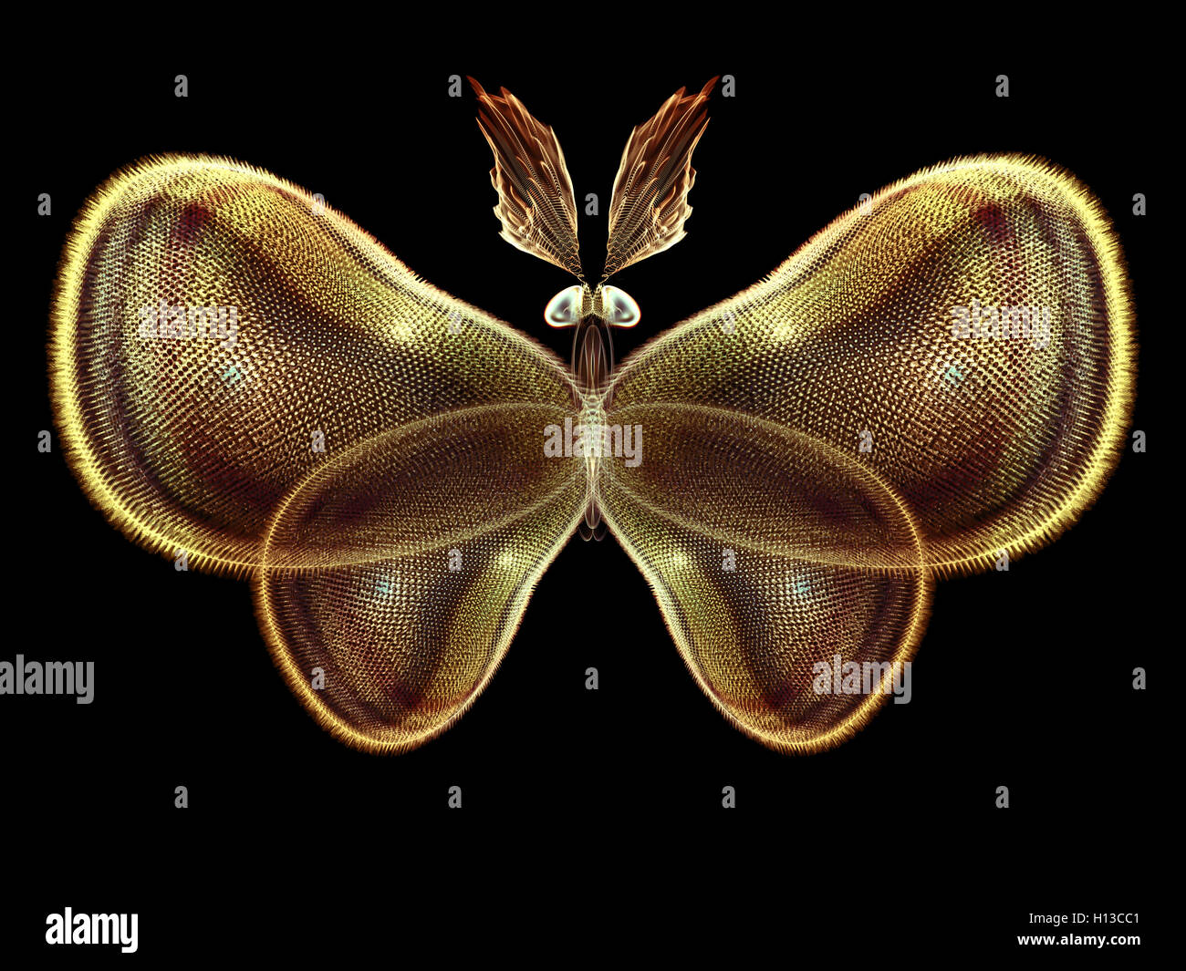 Illusion of Butterfly Stock Photo - Alamy