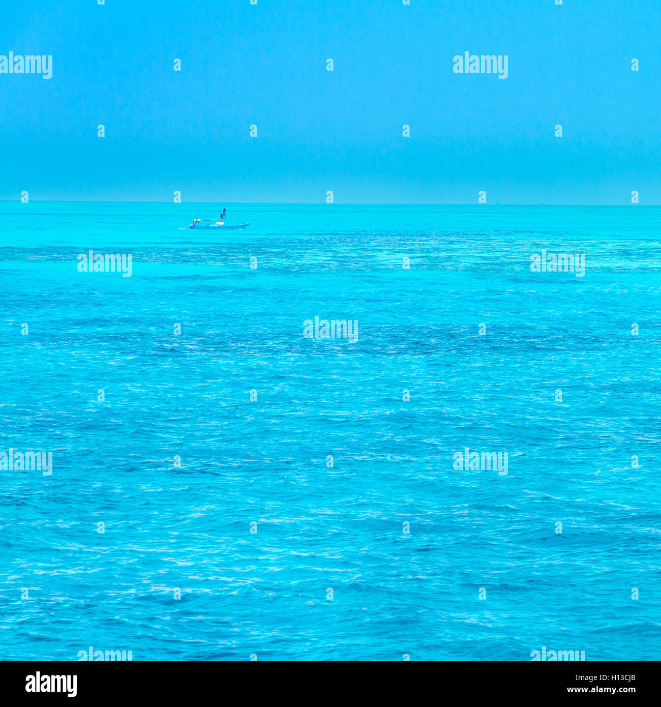 Turquoise coral reef Stock Photo - Alamy