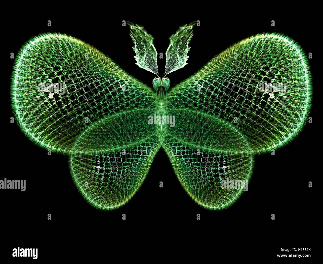 Imagination concept butterfly hi-res stock photography and images - Alamy