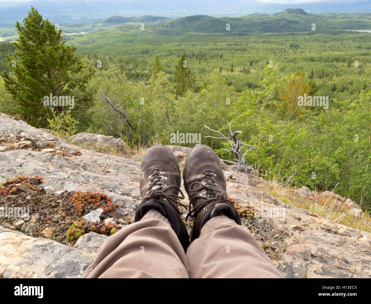 Resting taiga hiker Yukon Territory Canada Stock Photo - Alamy