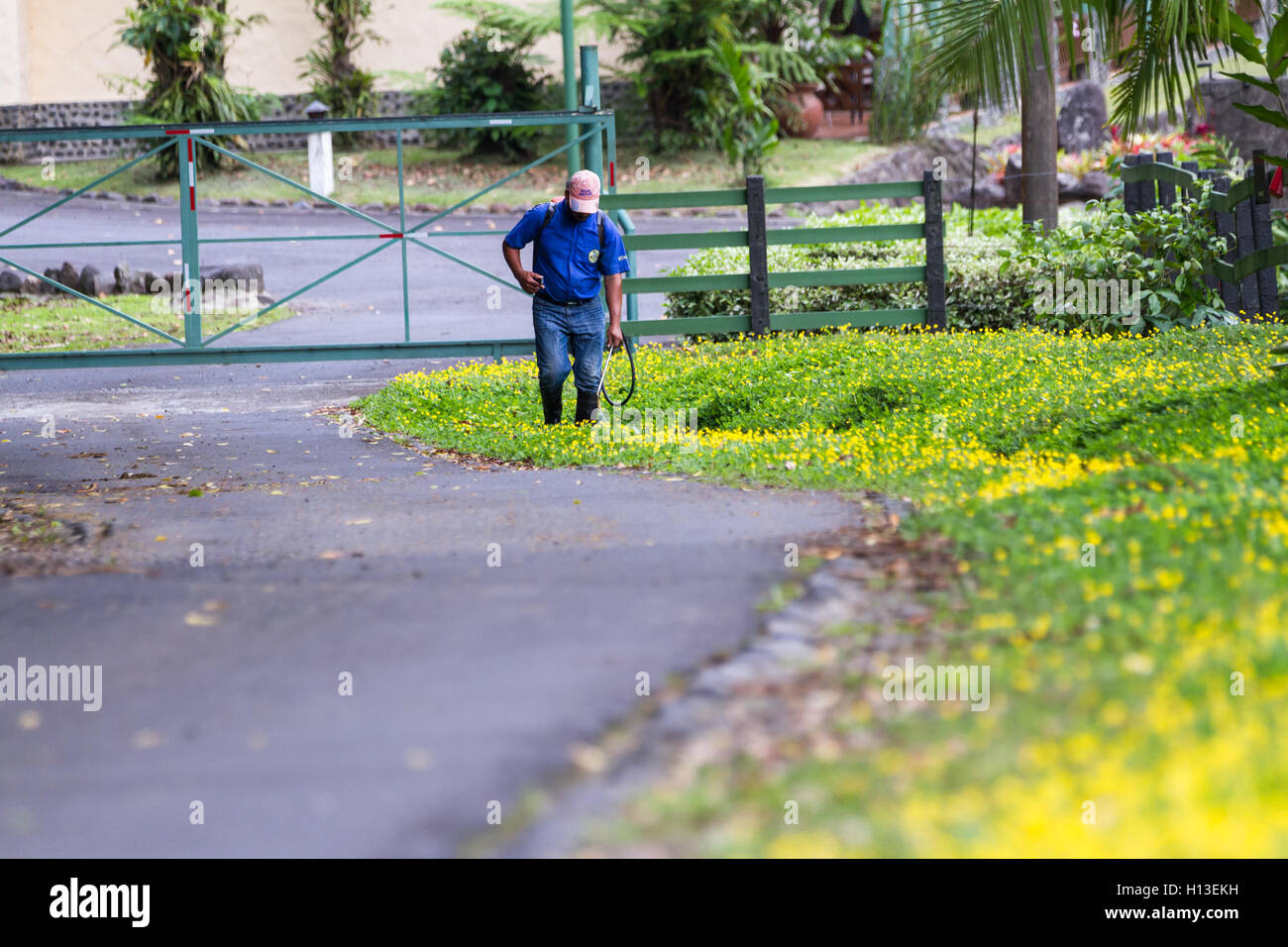 Spraying pesticides costa rica hi-res stock photography and images - Alamy