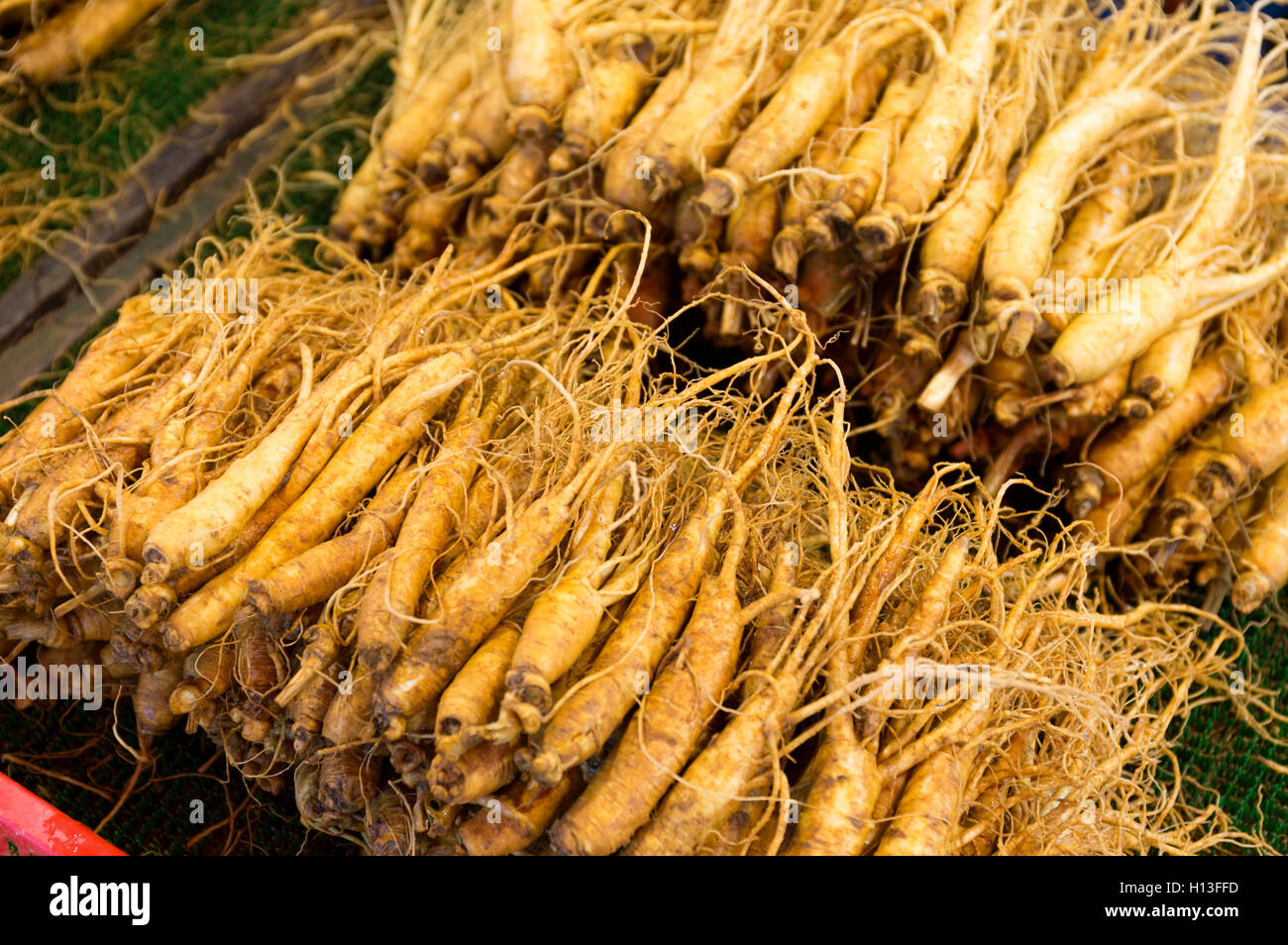 Red korean ginseng hi-res stock photography and images - Alamy