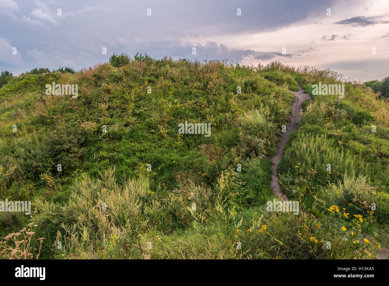 Pathway on a hill with wildflowers Stock Photo - Alamy